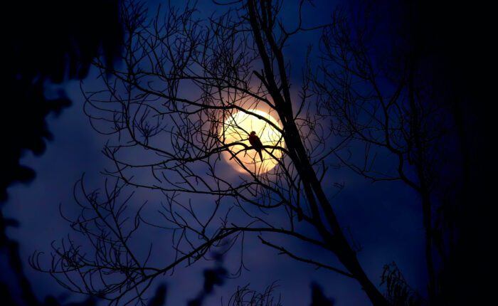 Exploring the Most Terrifying Locations Around the World - Halloween Hollow